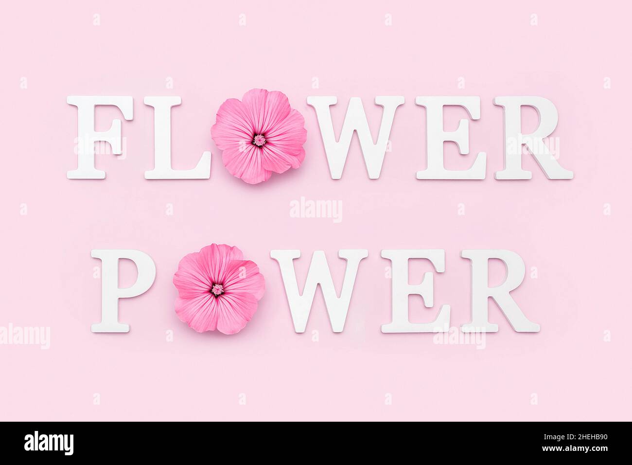 Flower power. Slogan from white letters and beauty natural flowers on ...