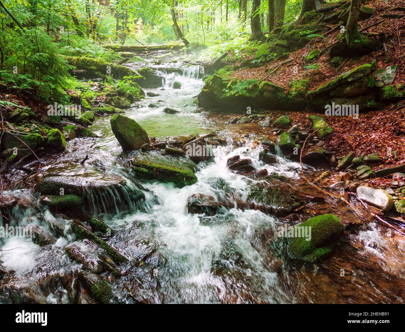 Mountain river in woods carpathian hi-res stock photography and images ...