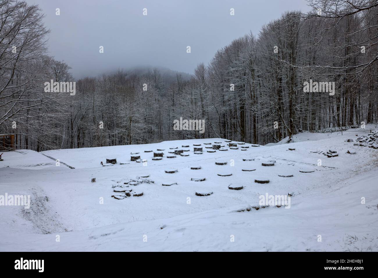Sarmizegetusa Regia (royal residence) was the capital and the most ...
