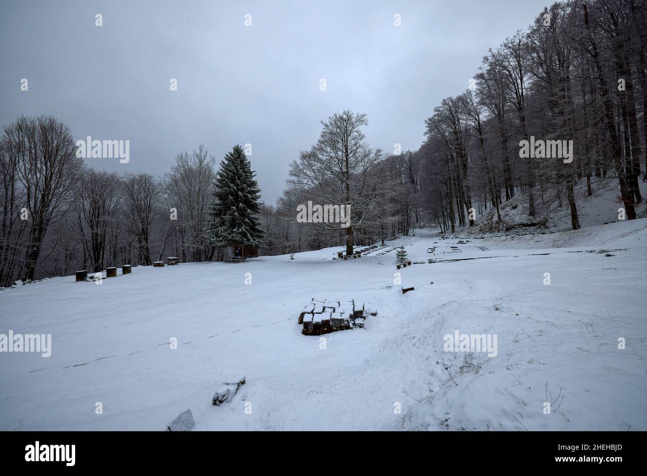 Sarmizegetusa Regia (royal residence) was the capital and the most ...