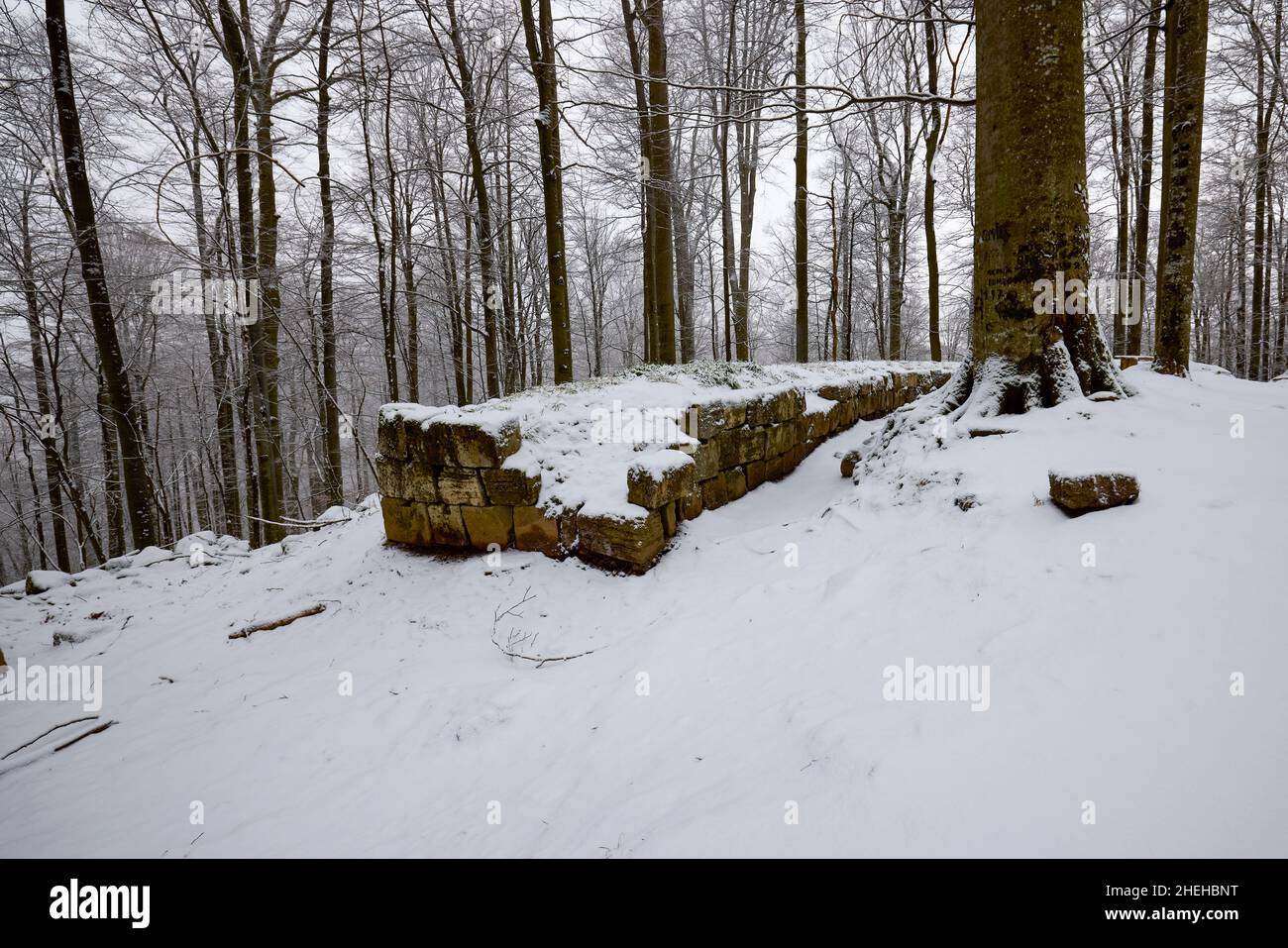 Sarmizegetusa Regia (royal residence) was the capital and the most ...