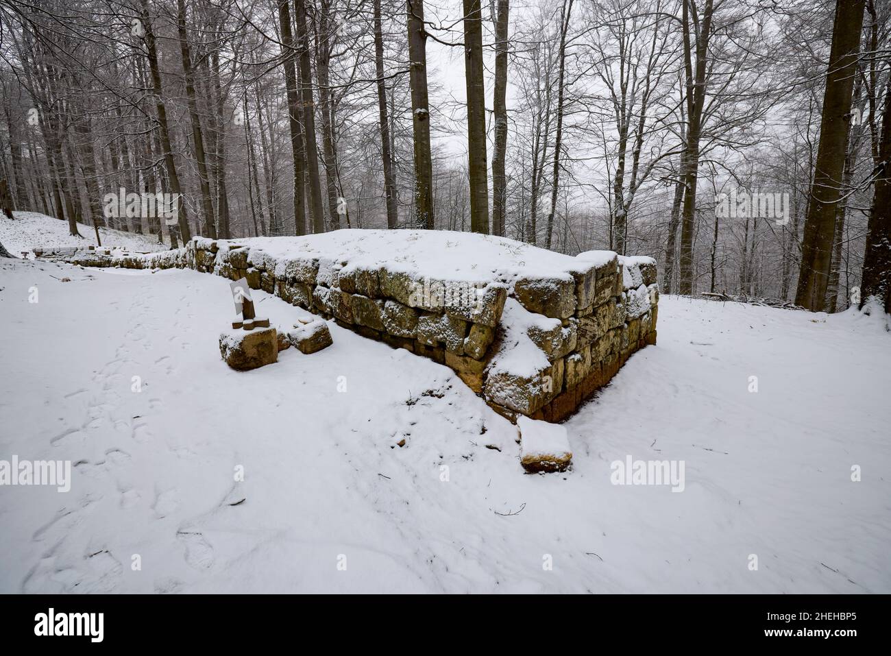 Sarmizegetusa Regia (royal residence) was the capital and the most ...