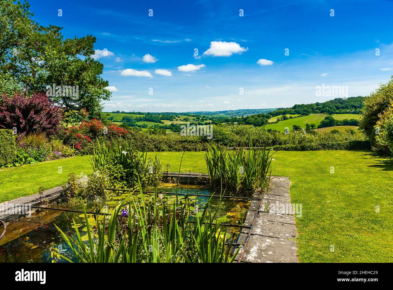 Burrow Farm Gardens in East Devon Stock Photo - Alamy