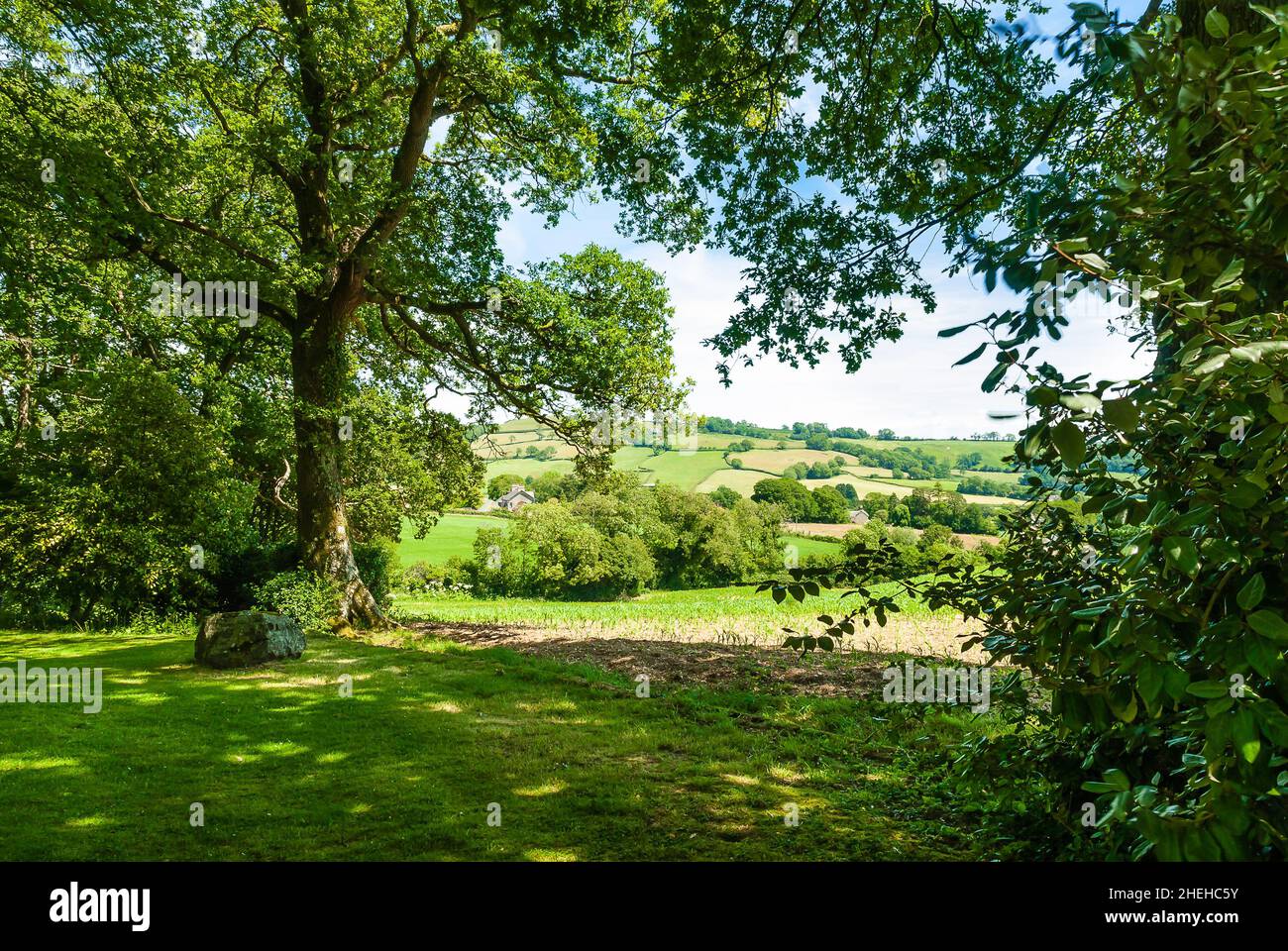 Burrow gardens hi-res stock photography and images - Alamy