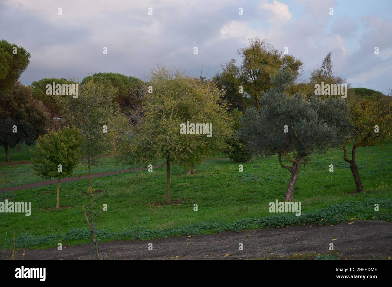 Photos taken at sunset while on a stroll through the beautiful ...