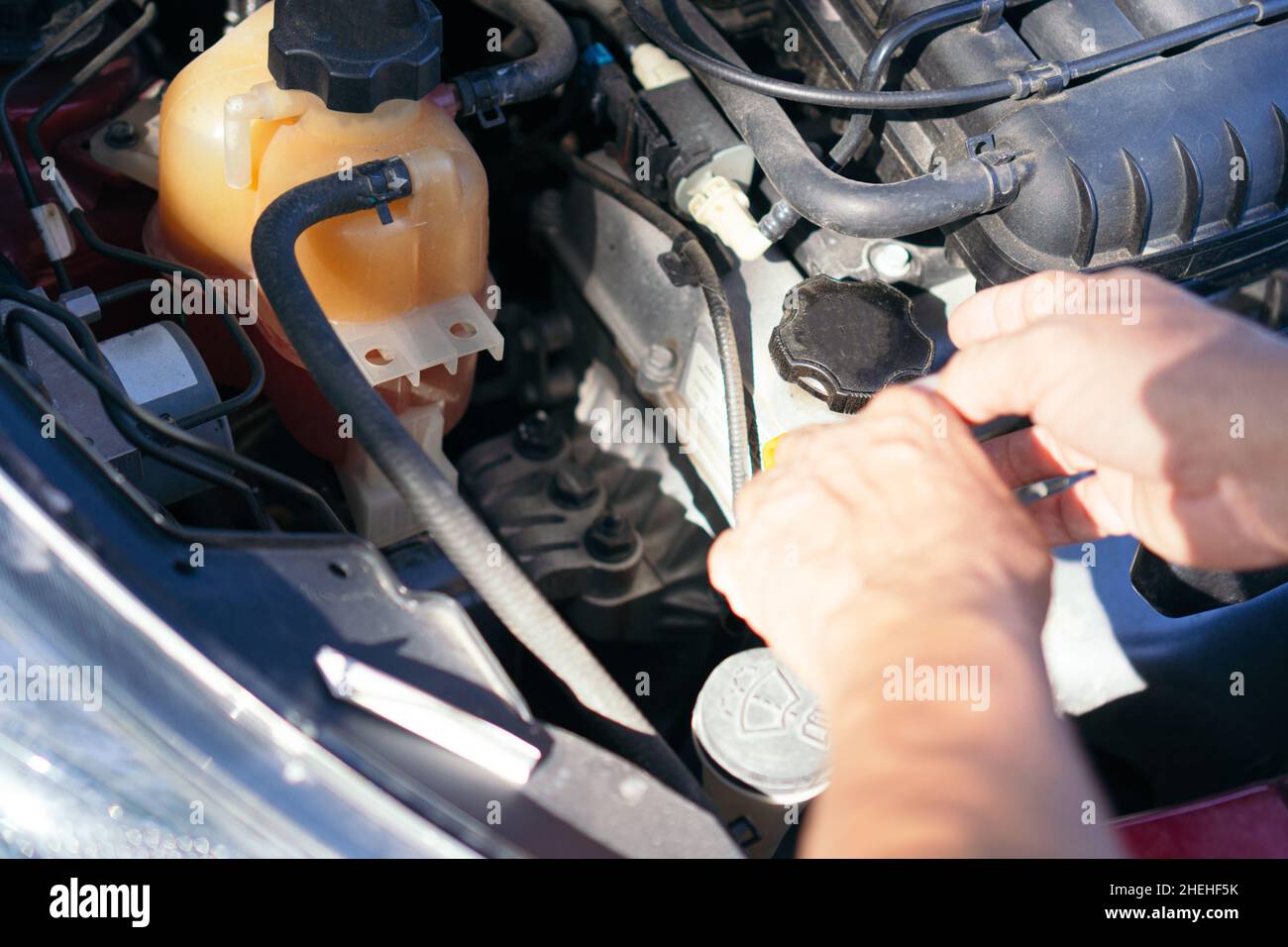 Man hands checking car engine. Guy checks his car Stock Photo - Alamy