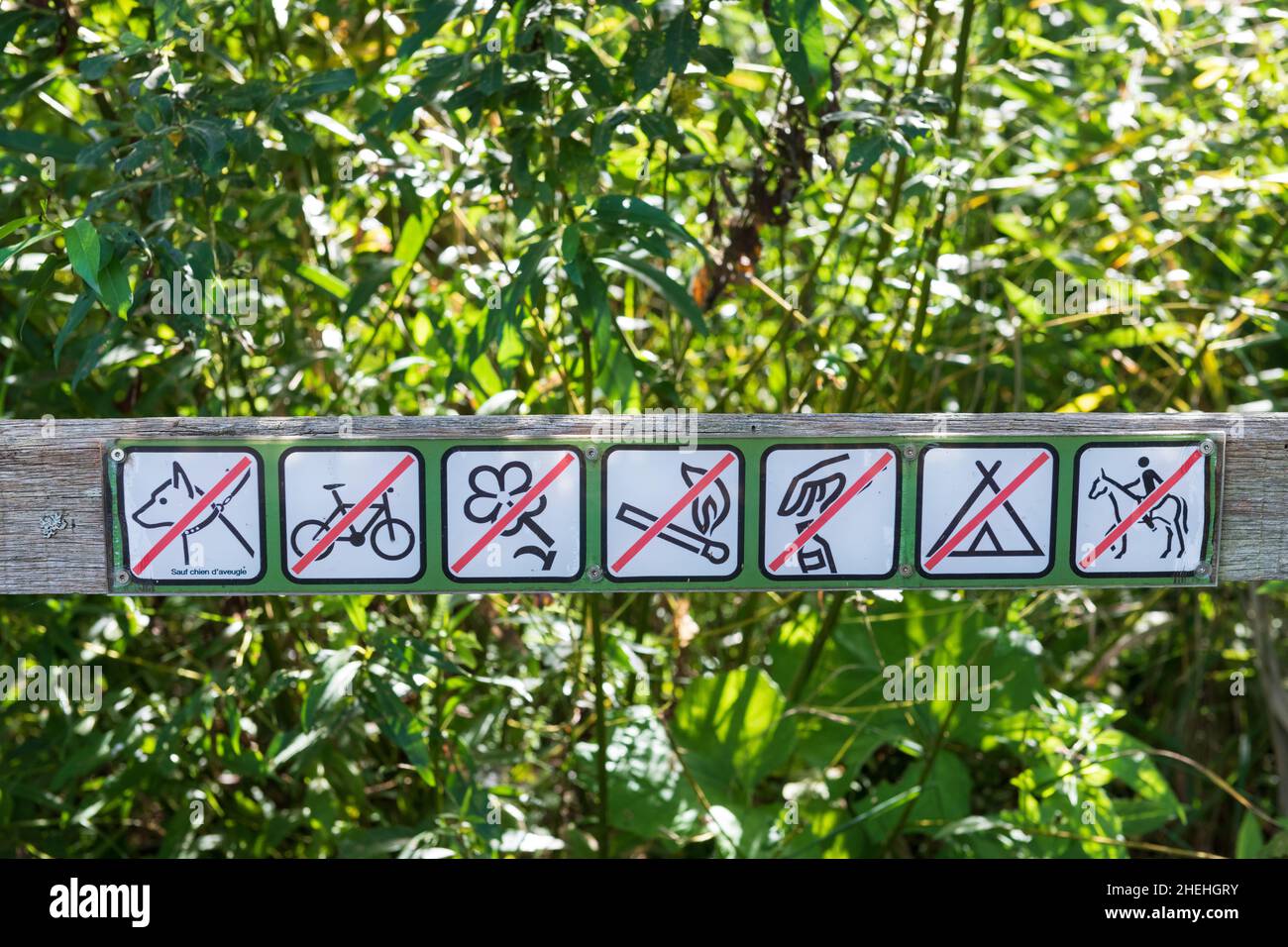 Prohibition signs in a forest Stock Photo - Alamy