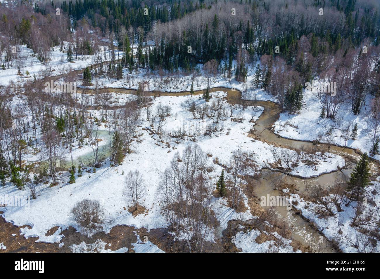 View of the spring taiga in the mountains of the Salair ridge from the ...