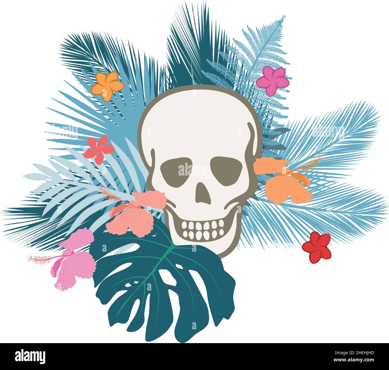 Skeleton hibiscus Stock Vector Images - Alamy
