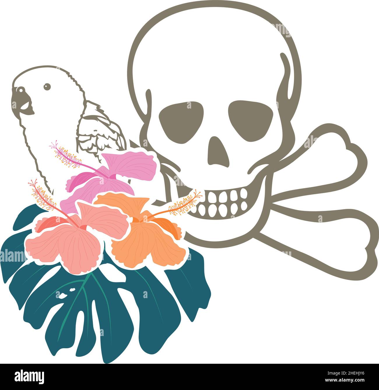 Bird skeleton parrot skeleton bone Stock Vector Images - Alamy