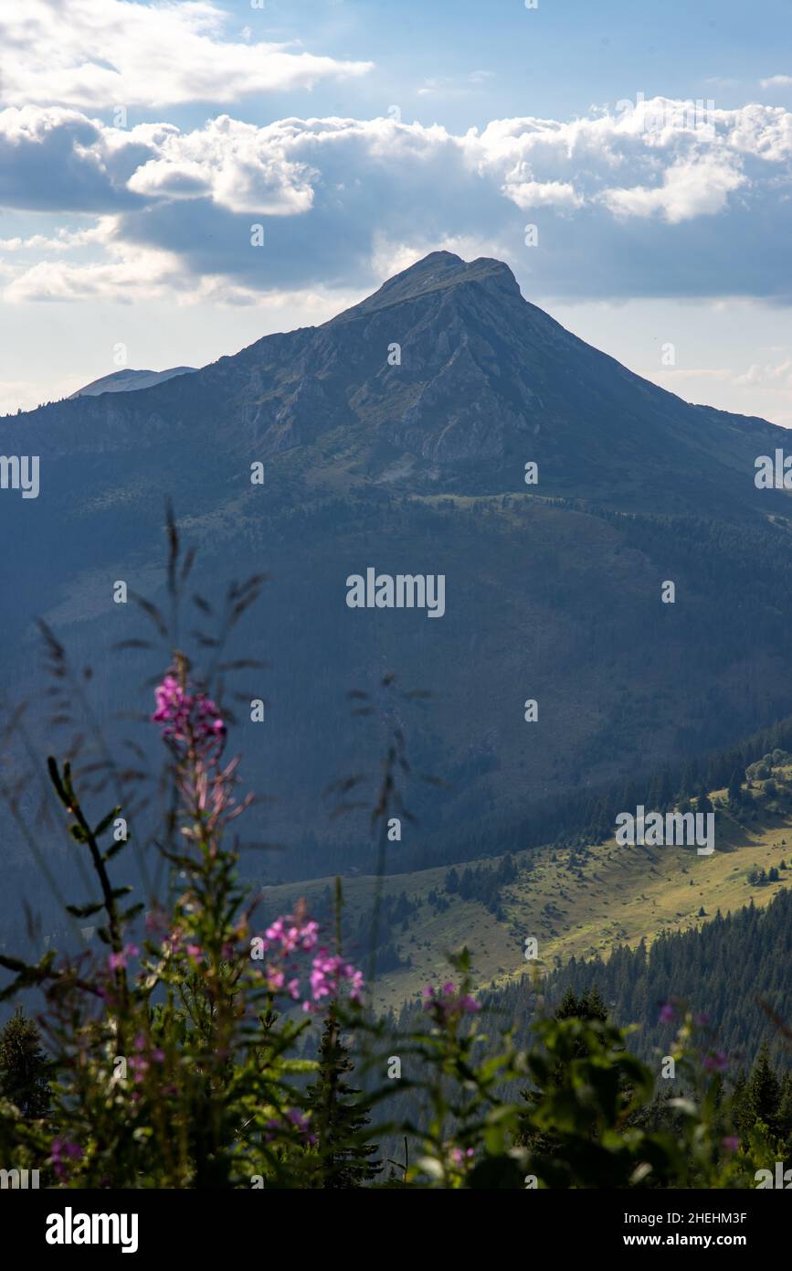 view from Hajla peak of Rugova valley and mountains and Prokletije ...