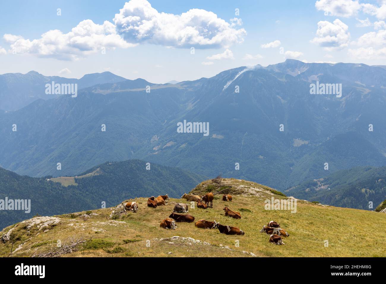 view from Hajla peak of Rugova valley and mountains and Prokletije ...