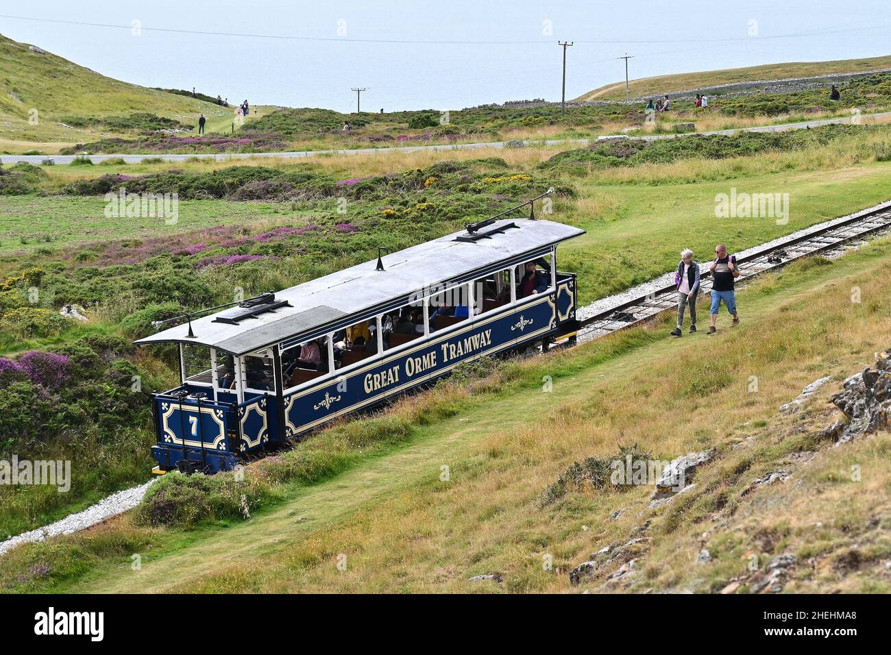 Great Orme Tramway. The Great Orme, Llandudno, August 2021 Stock Photo - Alamy