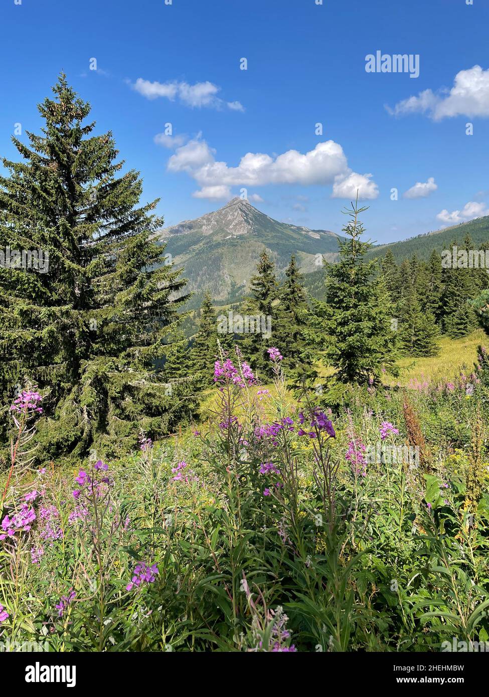 view from Hajla peak of Rugova valley and mountains and Prokletije ...