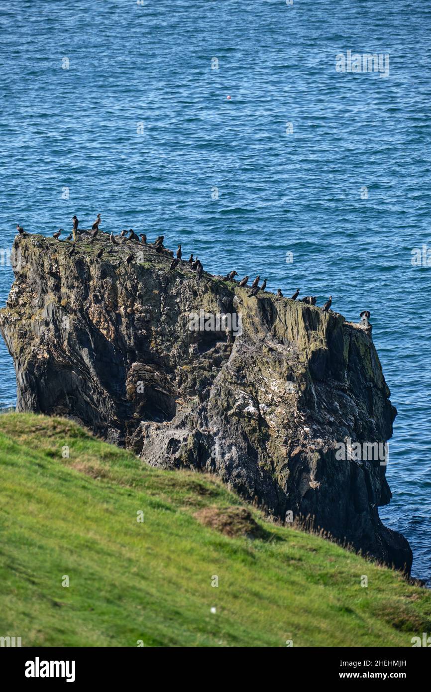 North stack coastal path hi-res stock photography and images - Alamy