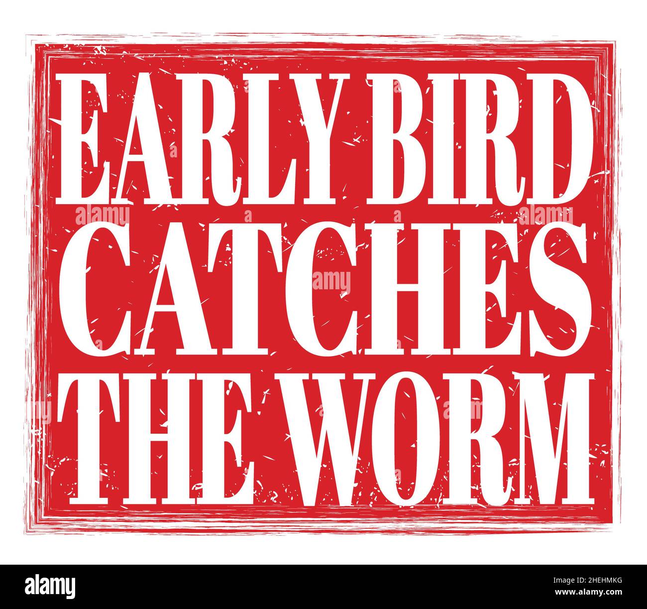 The early bird catches the worm hi-res stock photography and images - Alamy
