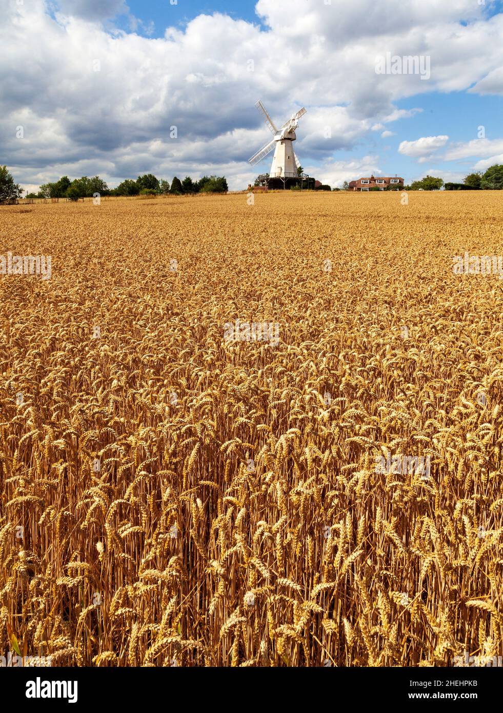 Harvestime hi-res stock photography and images - Alamy