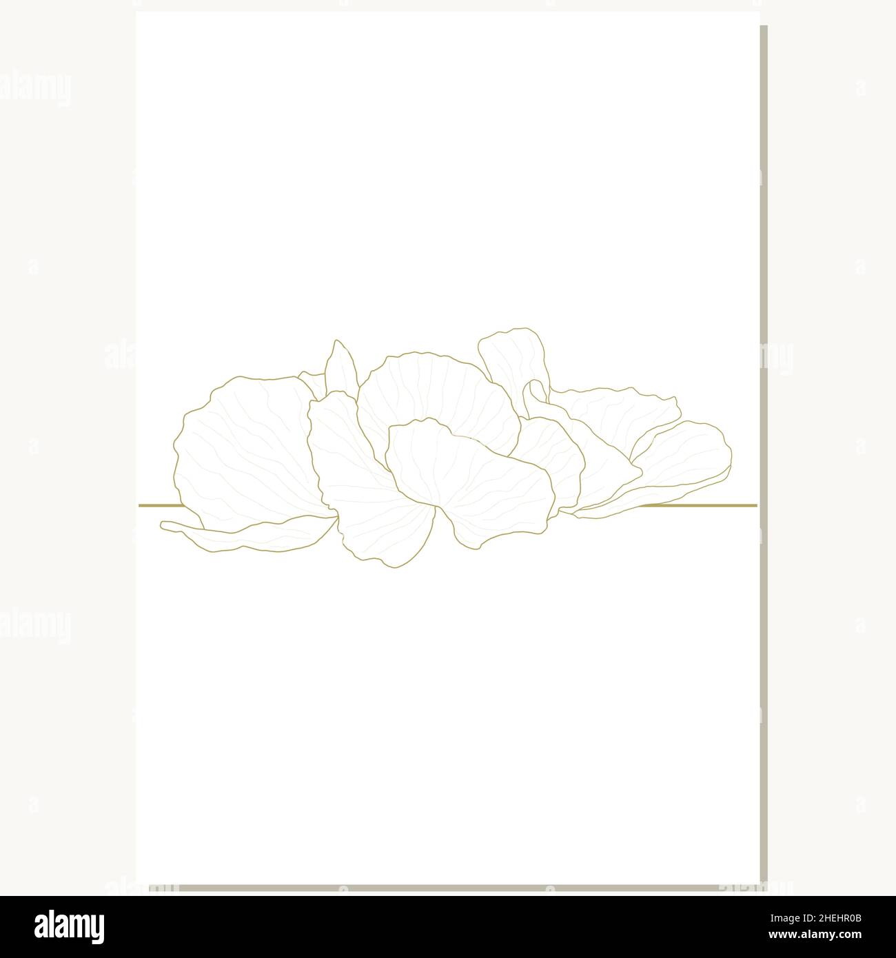 Light pink poppy Stock Vector Images - Alamy