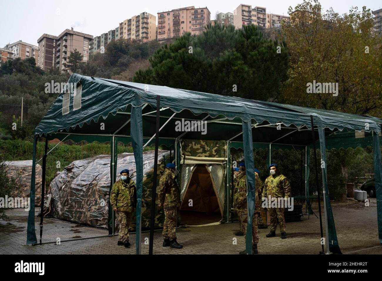 Images alamy aves hi-res stock photography and images - Alamy