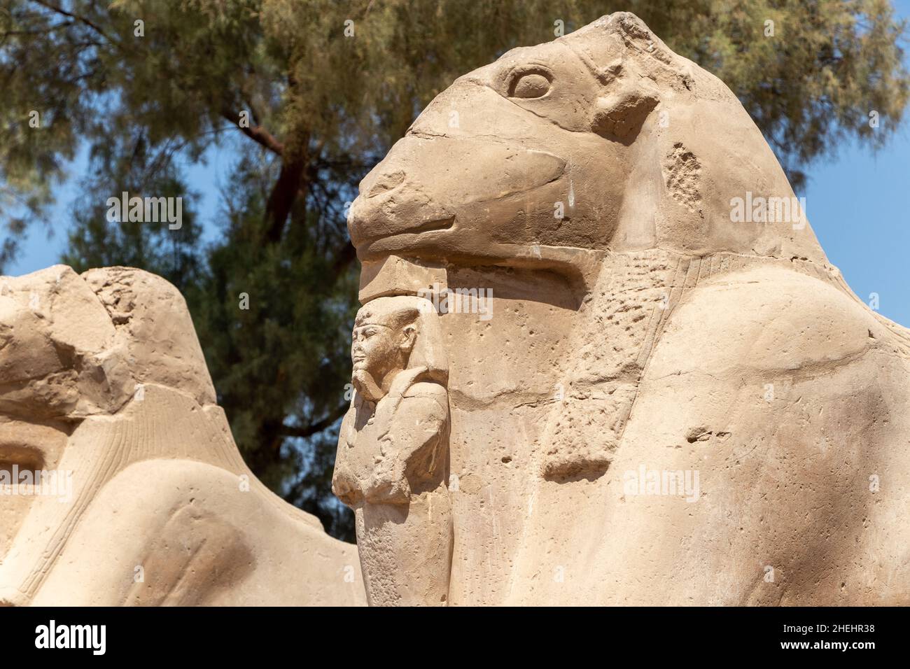 Ancient architecture of Karnak temple in Luxor, Egypt Stock Photo - Alamy