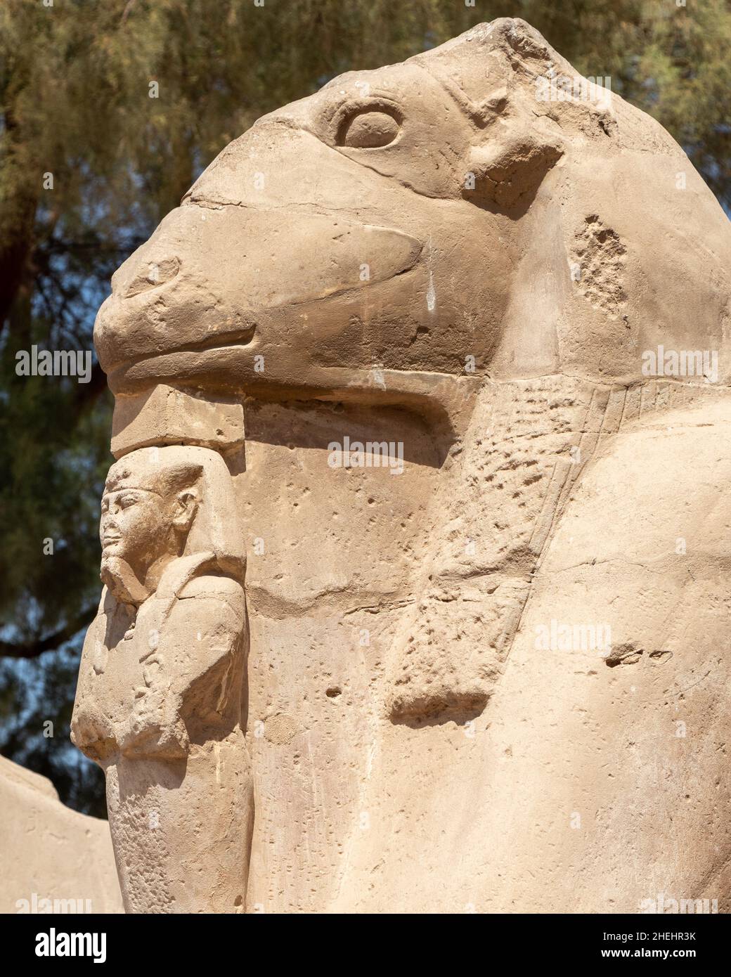Ancient architecture of Karnak temple in Luxor, Egypt Stock Photo - Alamy