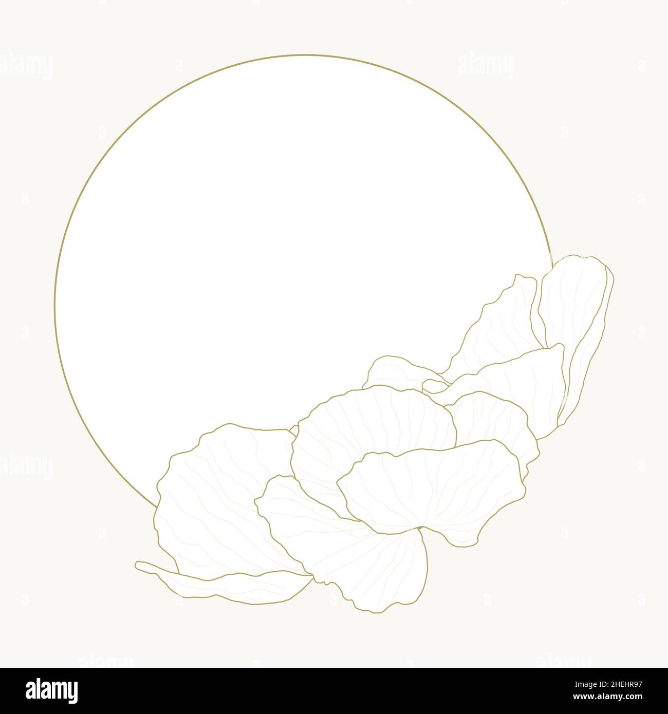 Light pink poppy Stock Vector Images - Alamy