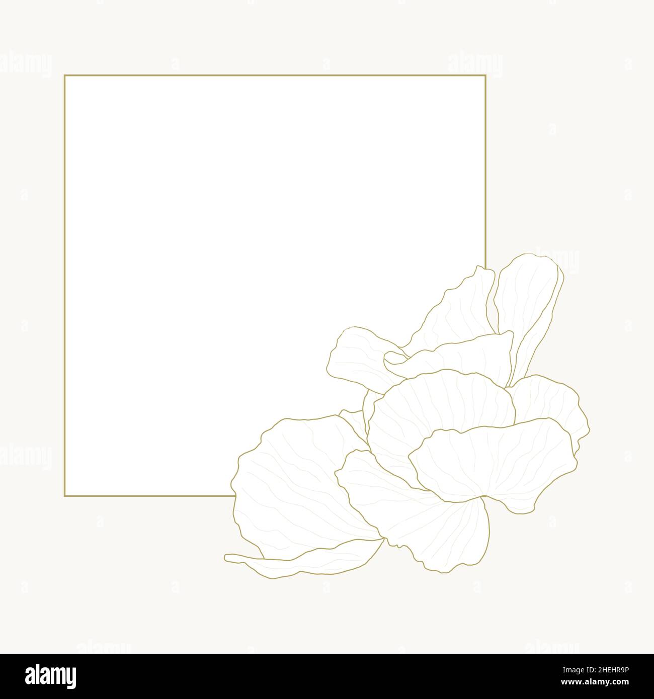 Light pink poppy Stock Vector Images - Alamy