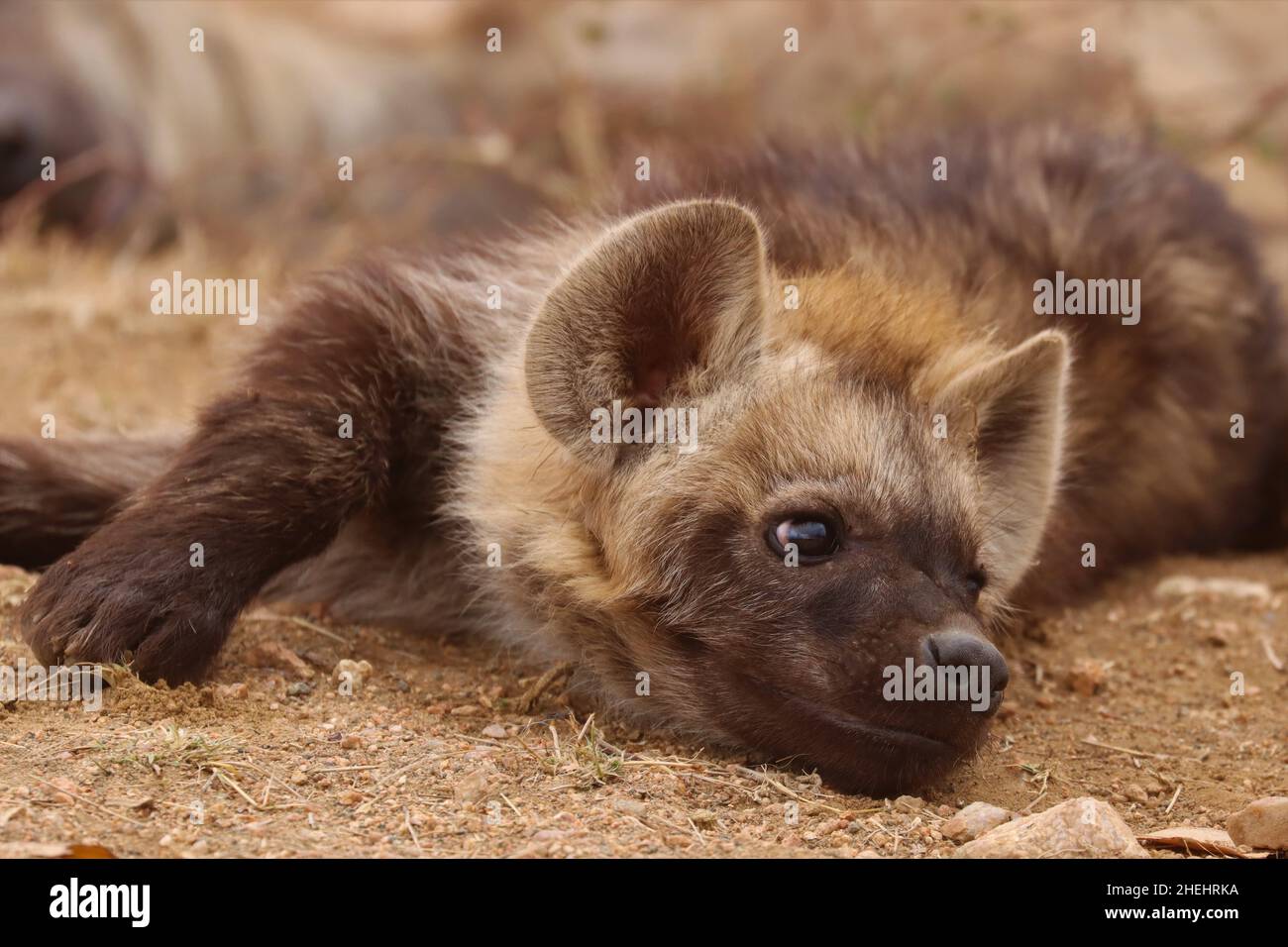 Phil gould photography hi-res stock photography and images - Alamy