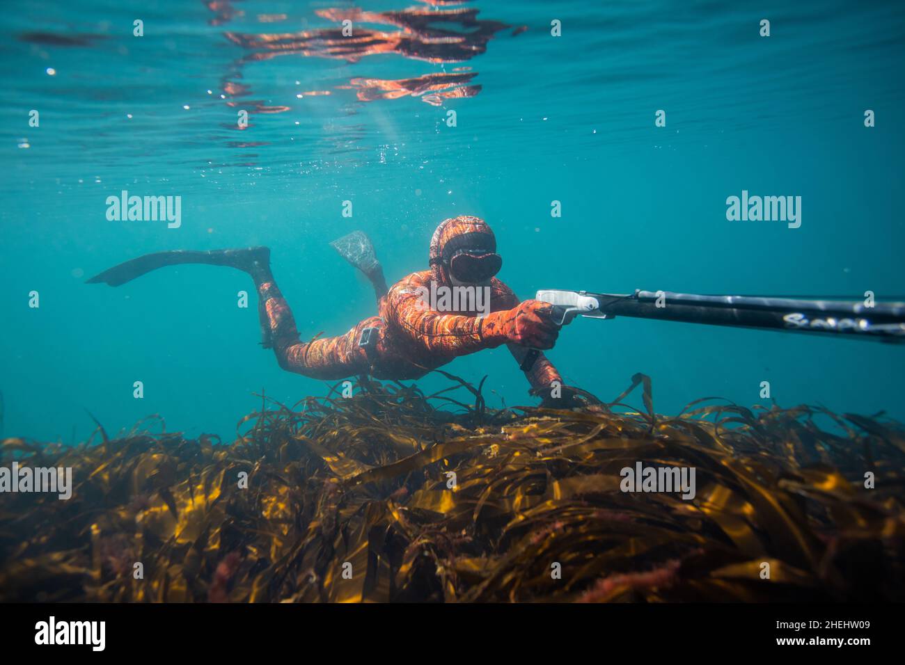 Spear fishing england hi-res stock photography and images - Alamy