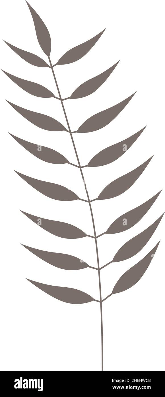 Boho hand drawn leaves Stock Vector Image & Art - Alamy