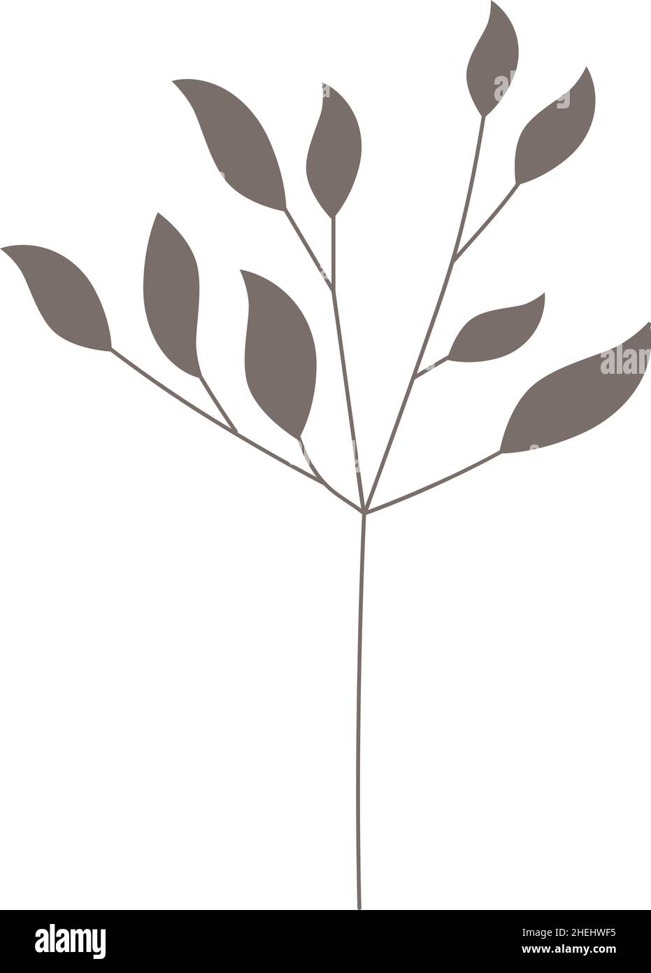 Drawn leaves Cut Out Stock Images & Pictures - Alamy