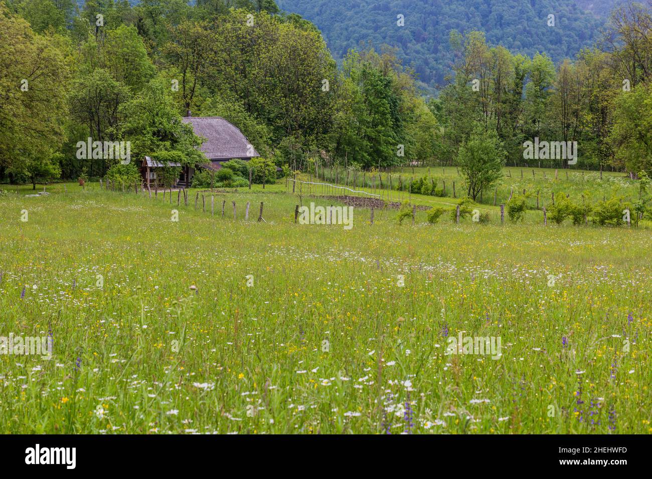 Old wooden house in Bovec village, Slovenia Stock Photo - Alamy