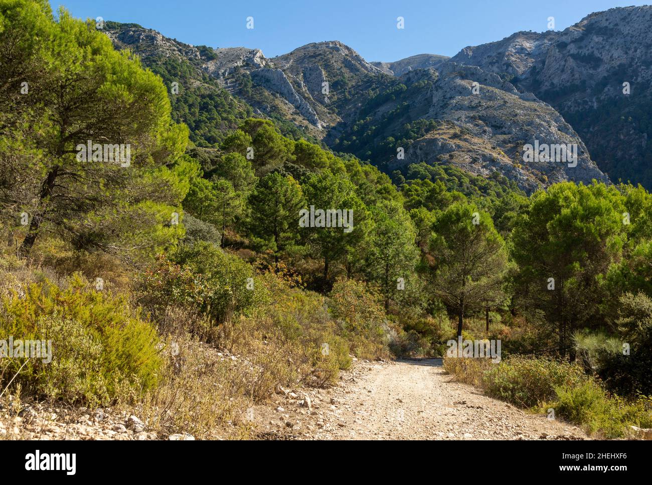 Ruta Botanica waking route from Area Recreativa El Alcázar, Sierra ...