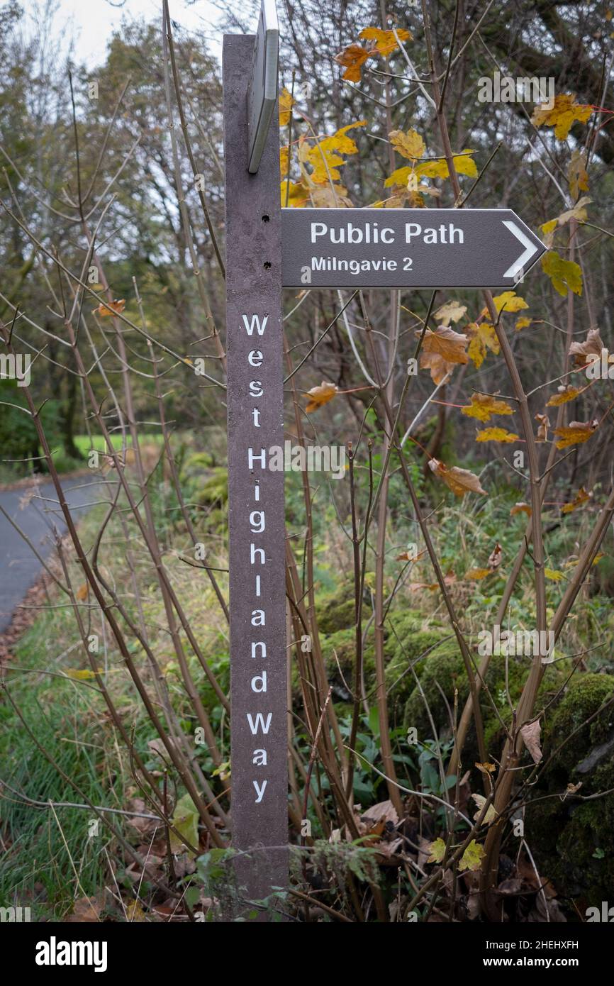 Scottish thistle logo hi-res stock photography and images - Alamy