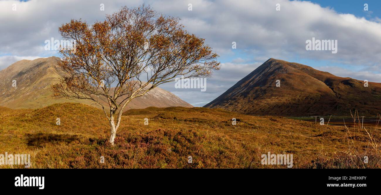 Panorama of Lone tree, start of walk to Bla Bheinn, Isle of Skye ...