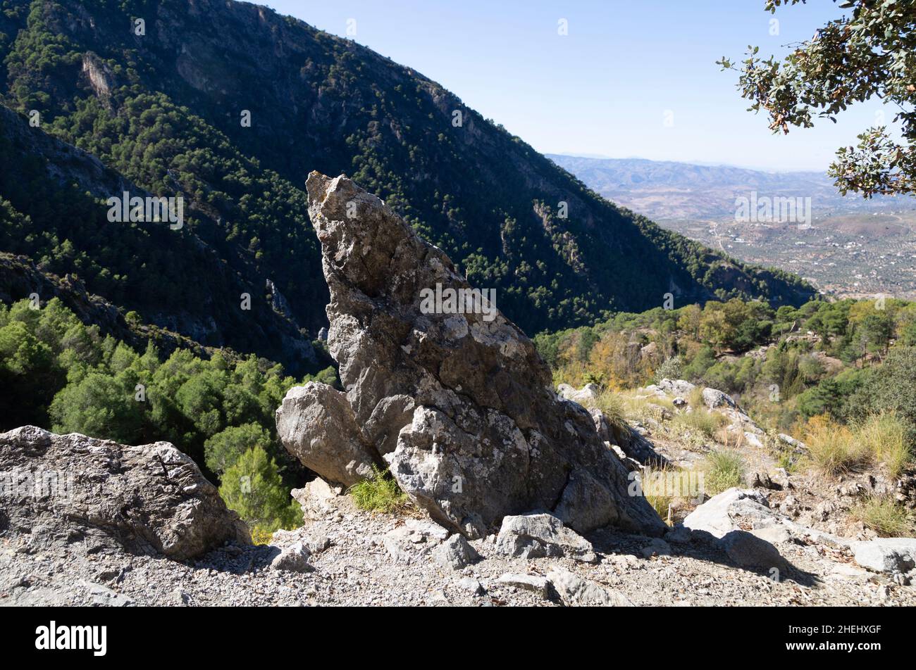 Ruta Botanica waking route from Area Recreativa El Alcázar, Sierra ...