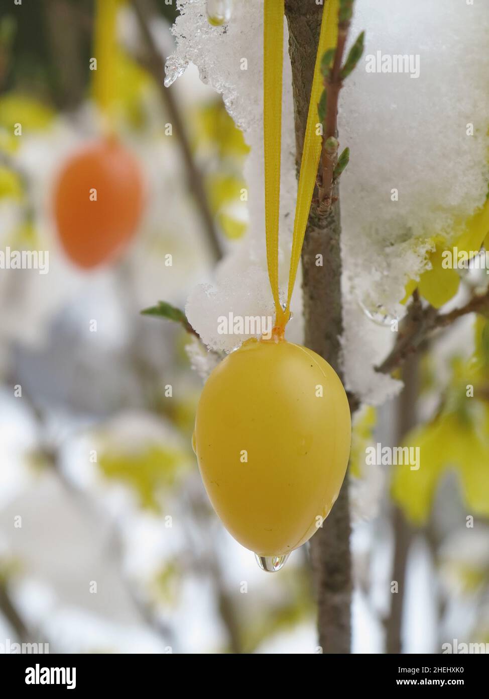 Easter egg drop hi-res stock photography and images - Alamy