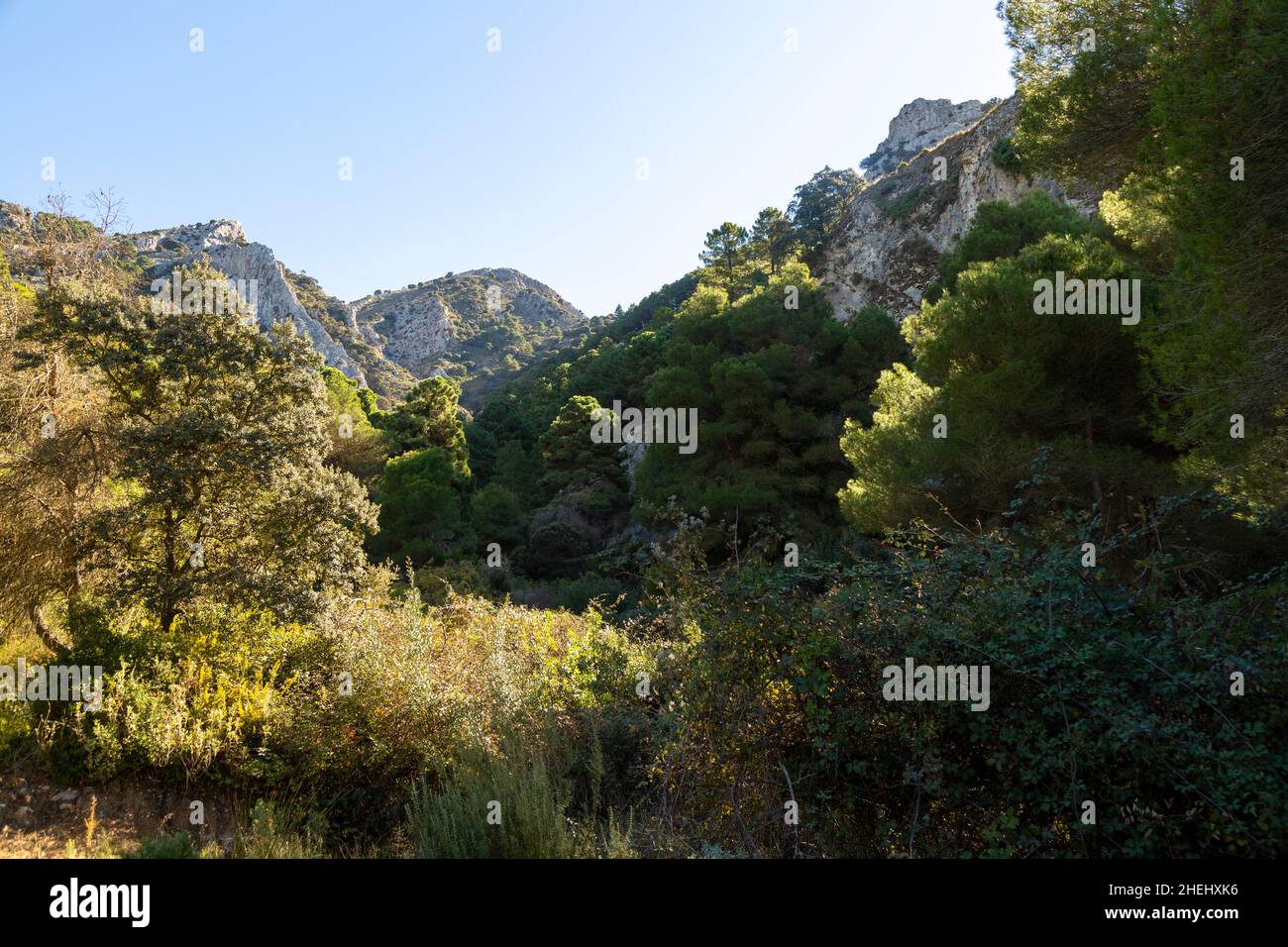 Ruta Botanica waking route from Area Recreativa El Alcázar, Sierra ...