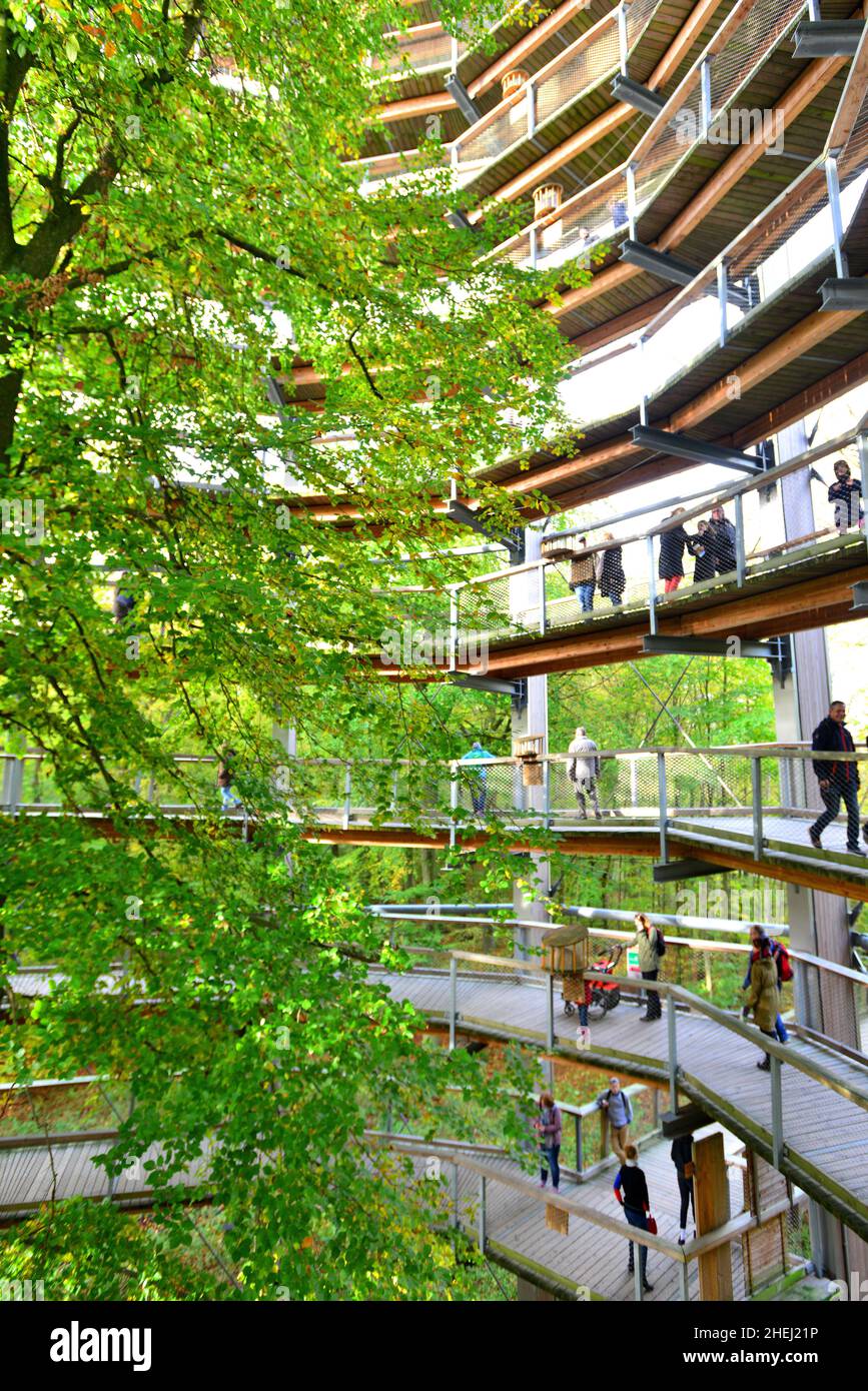 Rugen and naturerbe zentrum hi-res stock photography and images - Alamy