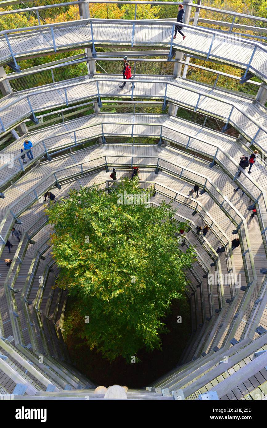 GERMANY. MECKLENBURG-VORPOMMERN. RUGEN ISLAND. BINZ. THE TREETOP WALK ...