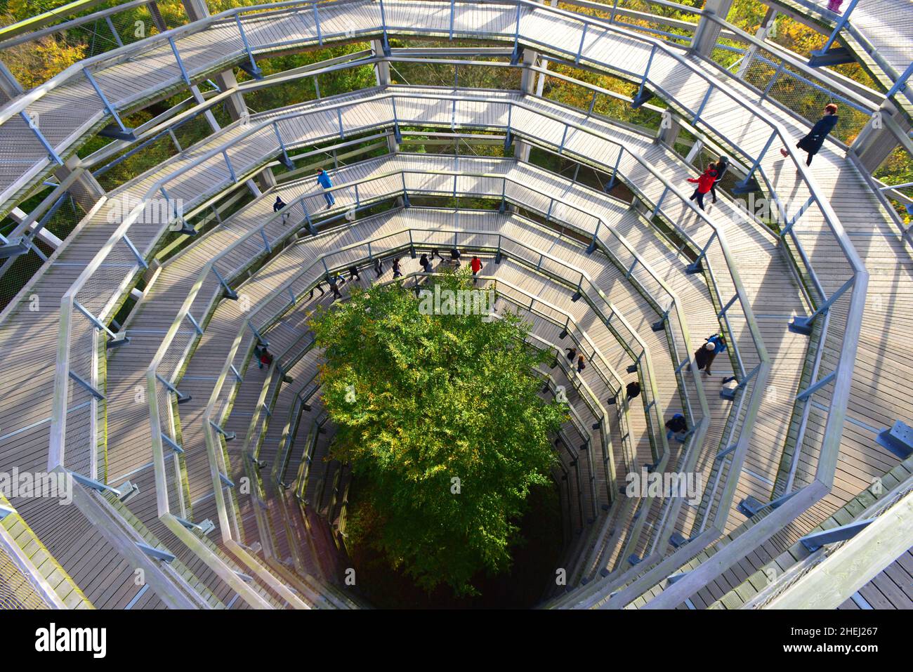 GERMANY. MECKLENBURG-VORPOMMERN. RUGEN ISLAND. BINZ. THE TREETOP WALK ...