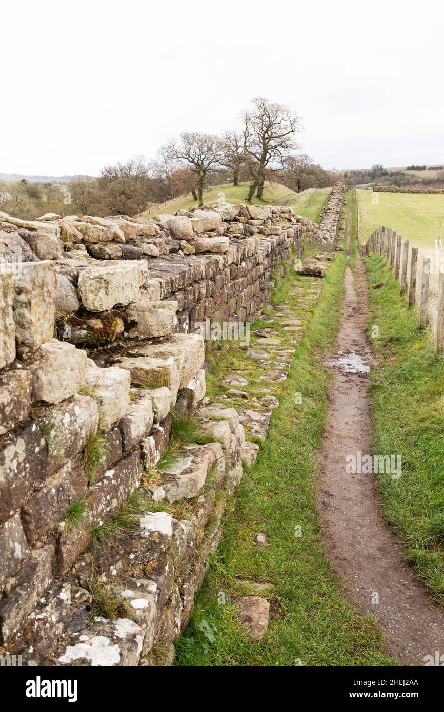 Hadrian's Wall Footpath runs alongside Hadrian's Wall at Willowford in ...