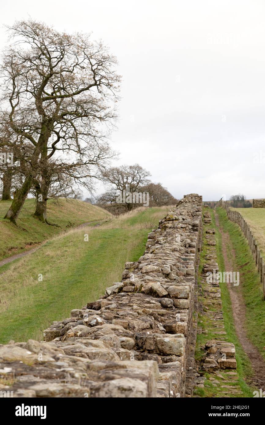 Hadrian's Wall at Willowford in Cumbria, England. The ancient monument ...