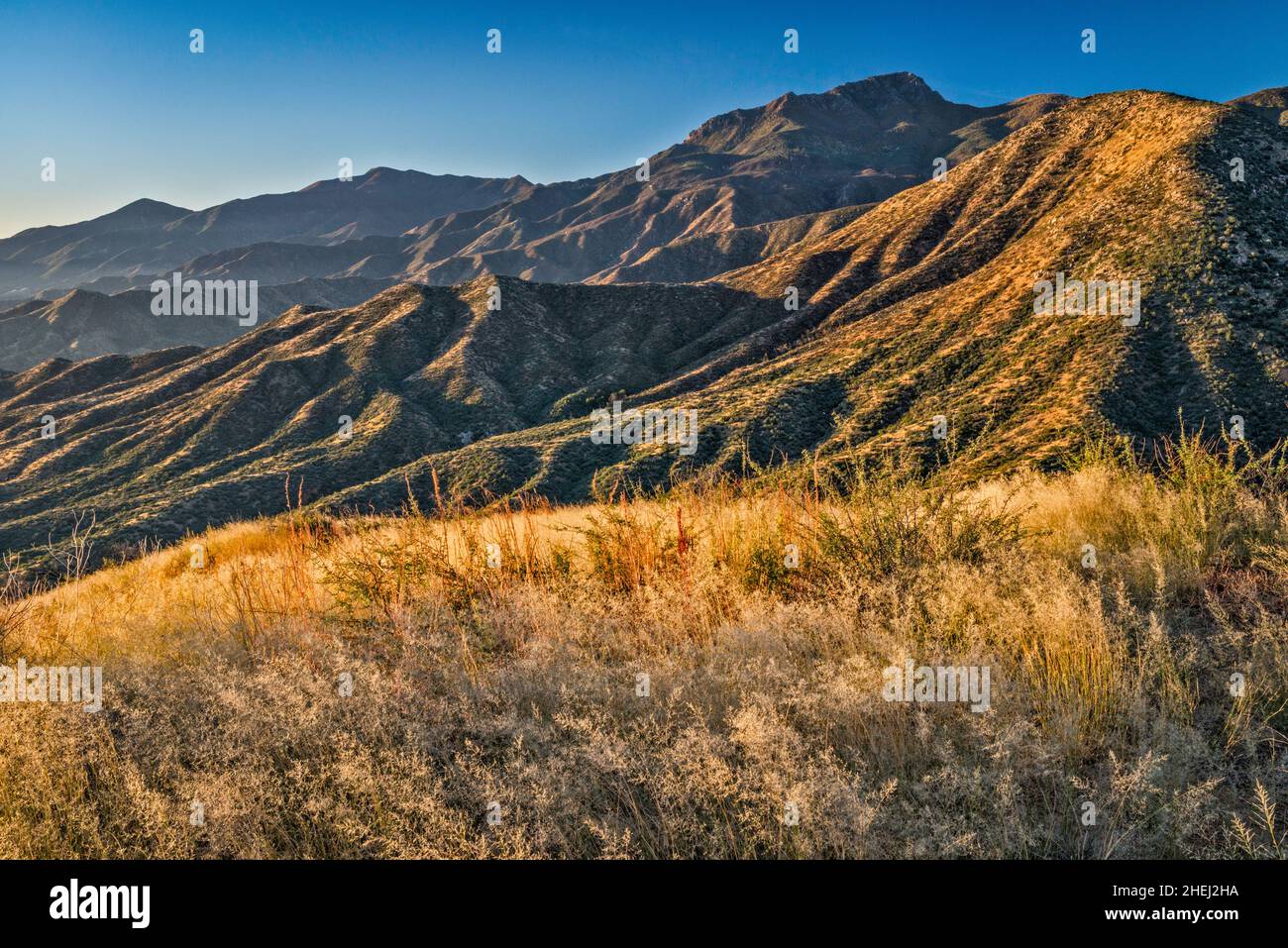 Four Peaks massif at sunrise, chaparral shrubland, view from Four Peaks ...