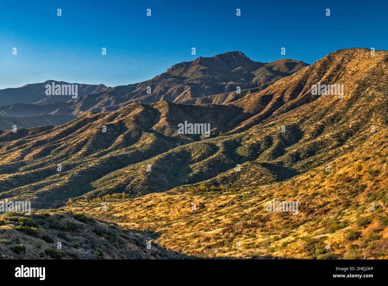 Four Peaks massif at sunrise, chaparral shrubland, view from Four Peaks ...