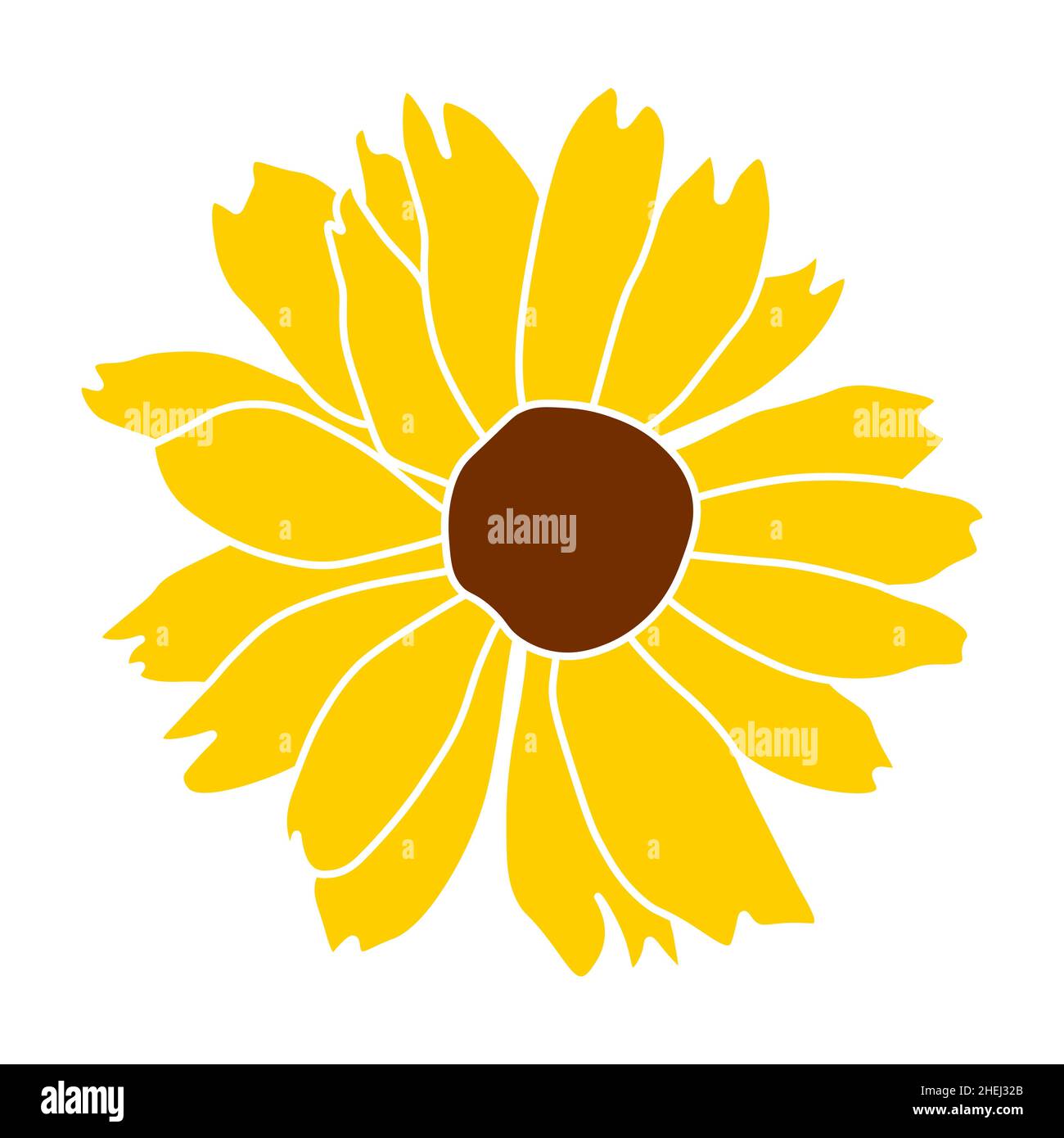 Open heliopsis blossom vector illustration isolated on white background ...