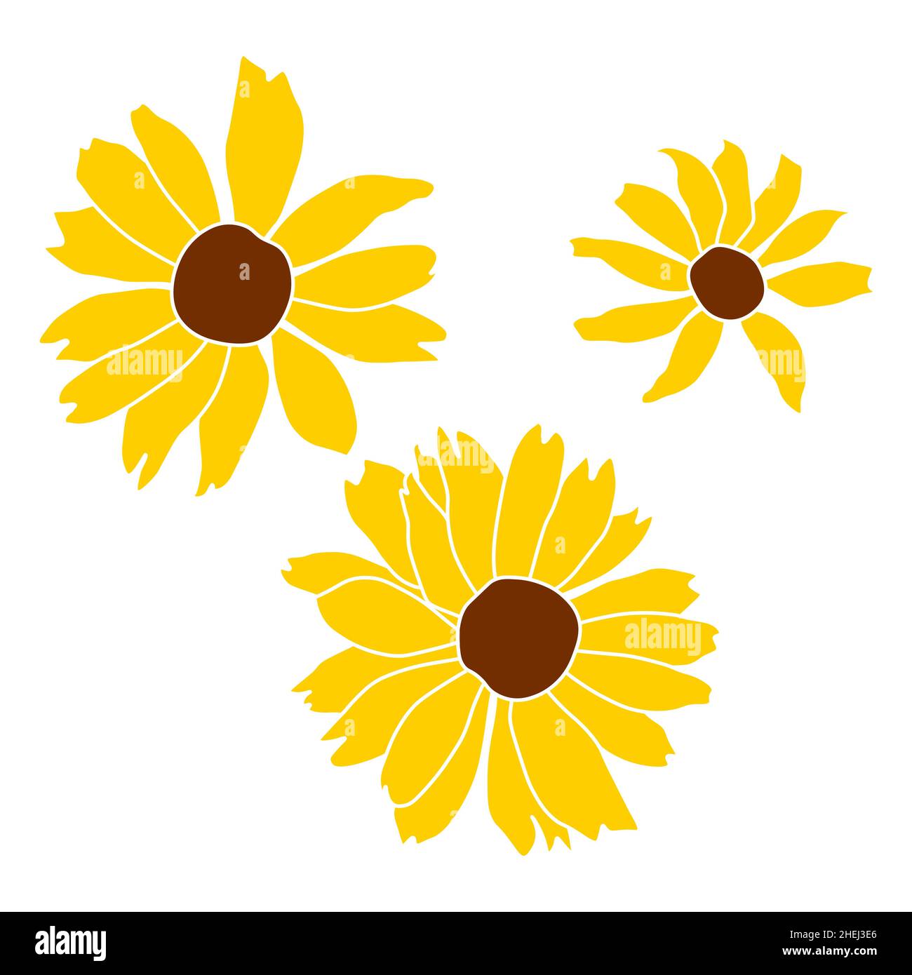 Set of three open heliopsis blossom vector illustration isolated on ...