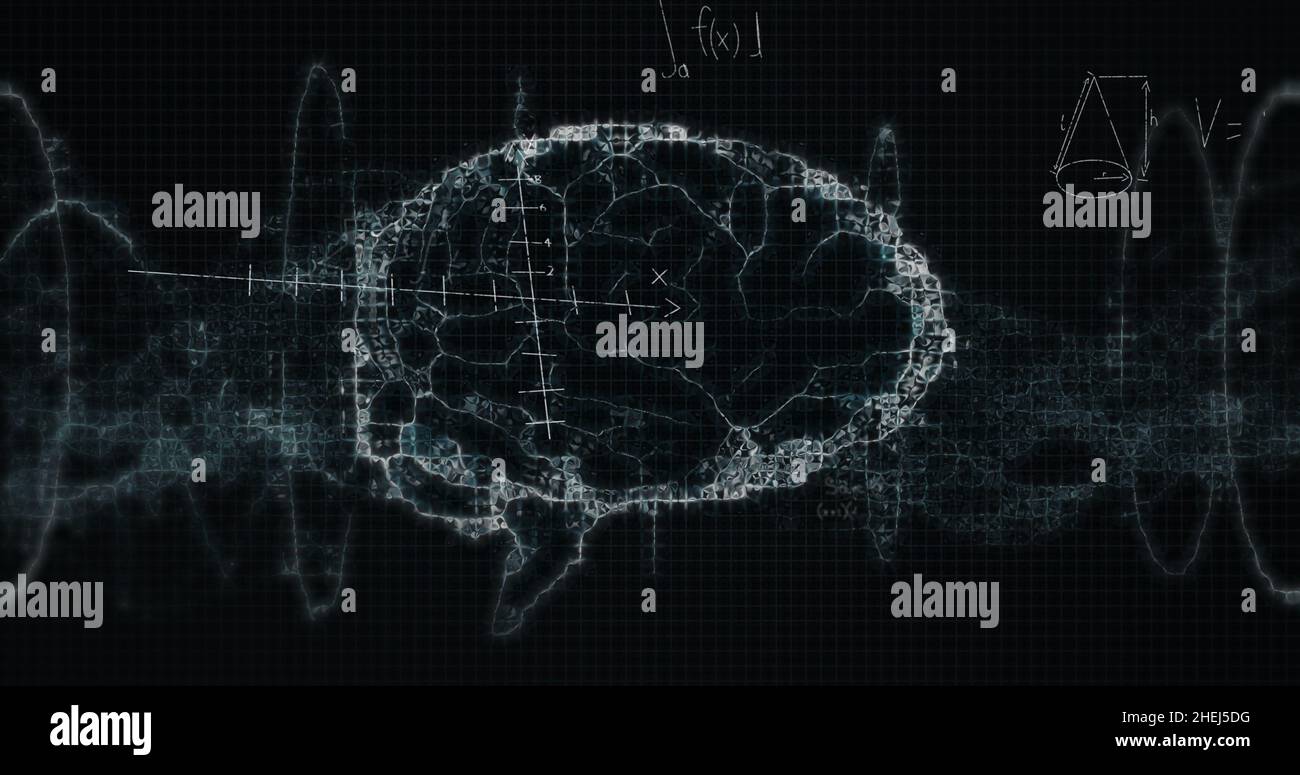 Image of mathematical equations over digital model of human brain on ...