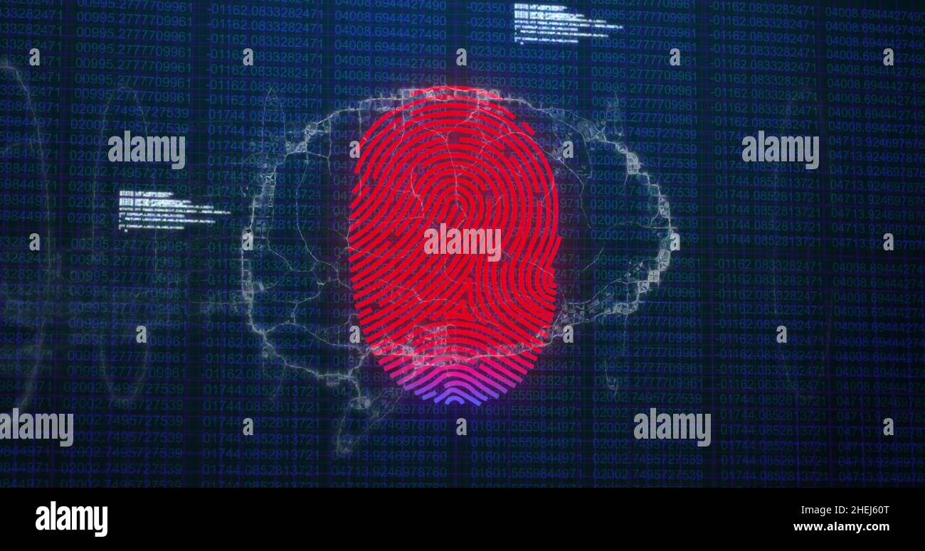 Image of network of connections with biometric fingerprint, human brain ...