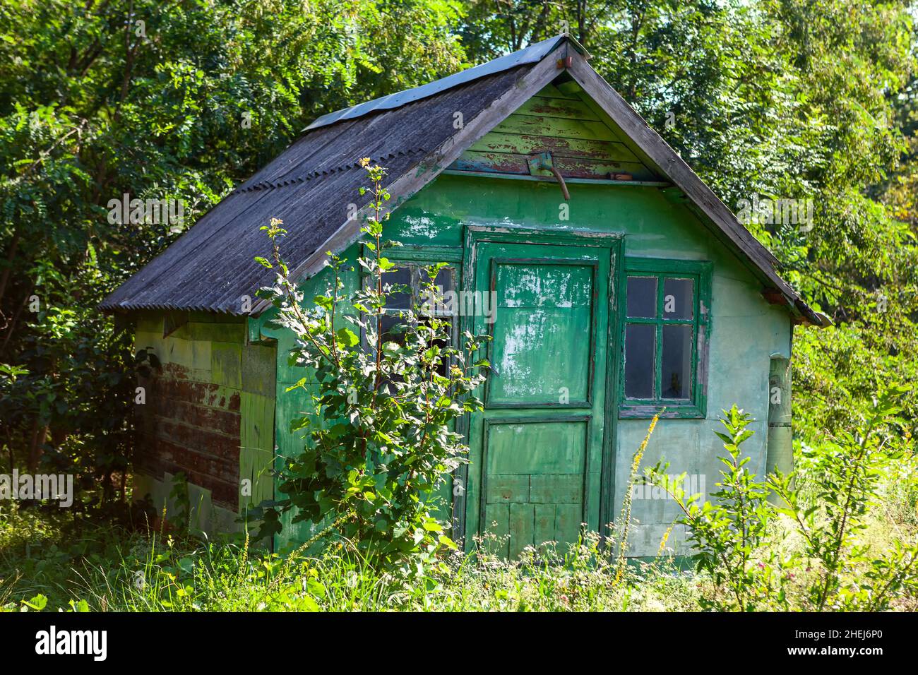 Barn in the forest . Wooden hut in the woodland . Rustic house colored ...